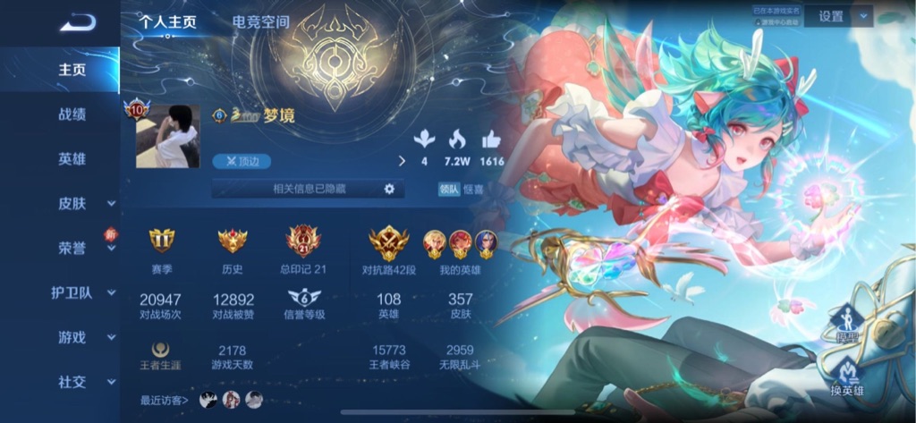 瑶祈愿 42段对抗 神启虎年 历史国标V10 360皮 11典藏 满21印记历史11省标 皮肤看图 / 王者农药 / 标题写明区服 / QQ - GG租号